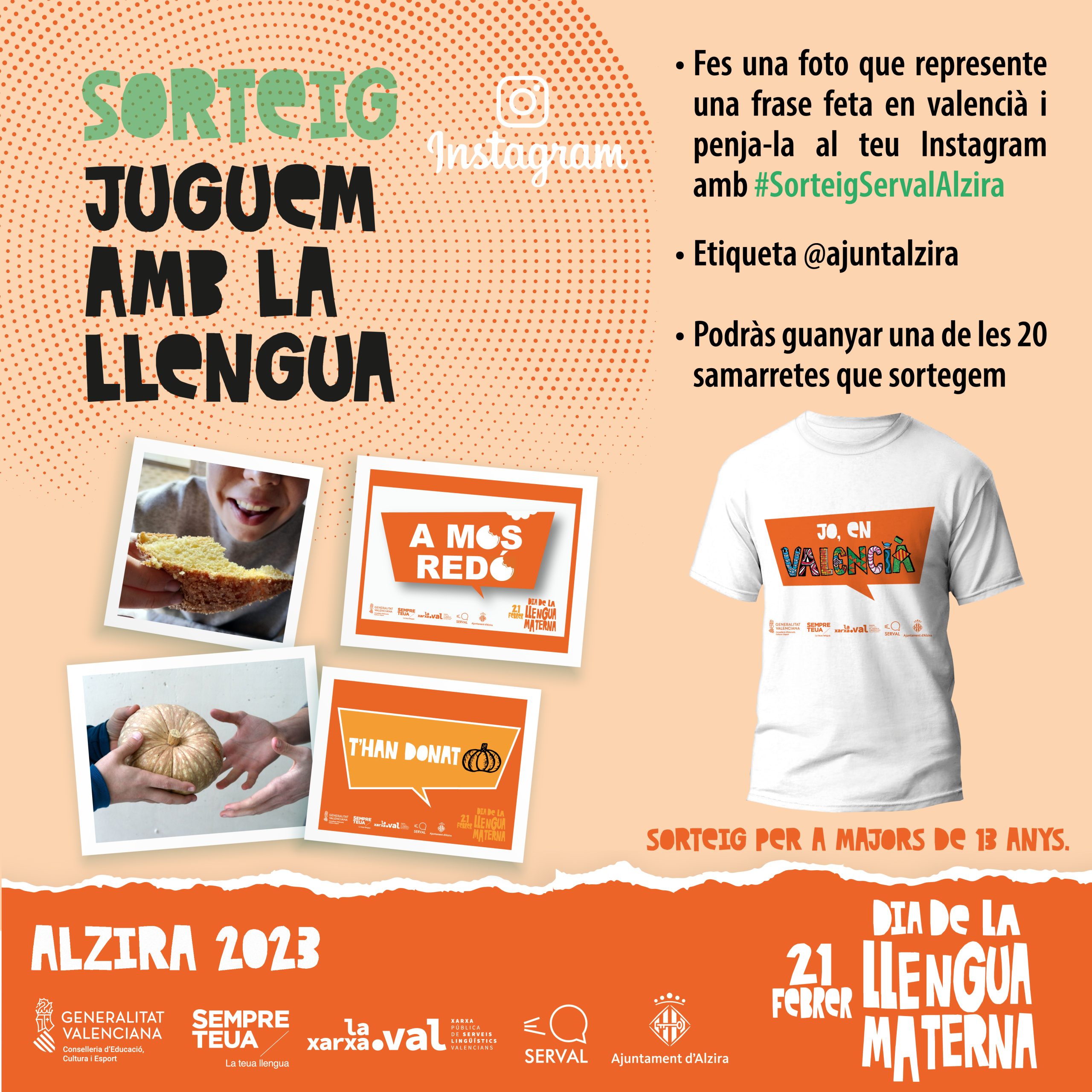L’Ajuntament d’Alzira commemora del Dia Internacional de la Llengua ...